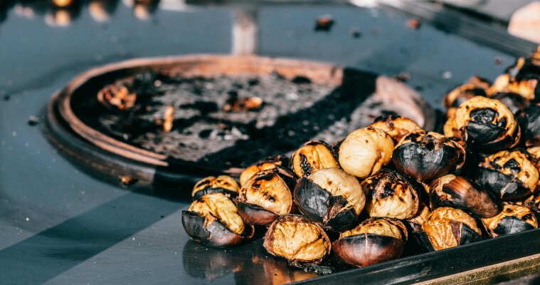 Centar-rostilja.hr - Najbolji izbor roštilja i opreme
