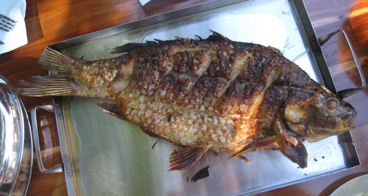 Centar-rostilja.hr - Najbolji izbor roštilja i opreme